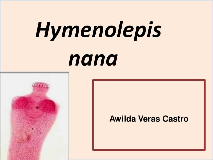 hymenolepis nana parasitologia | AvecaMedical | uDocz