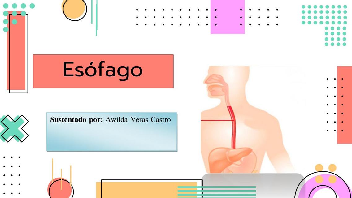 Esófago | AvecaMedical | uDocz