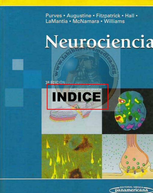 Dale Purves Neurociencia Panamericana Editorial | uDocz