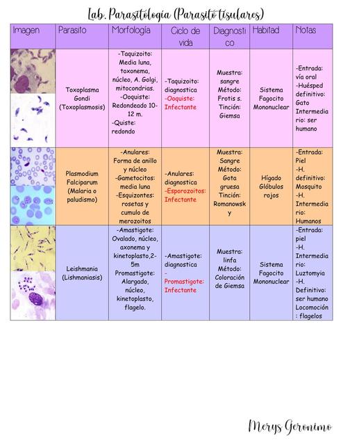 tisulares | Merys Geronimo | uDocz