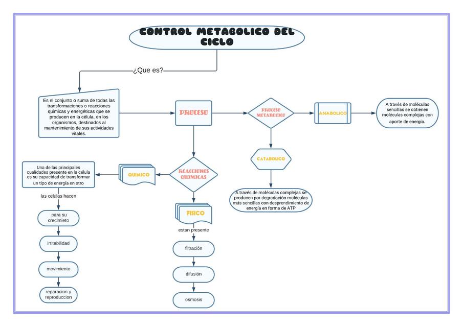control metabólico | mechiev | uDocz
