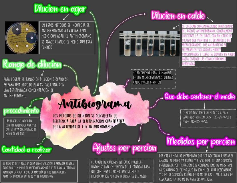 Resúmenes de Antibiograma | Descarga apuntes de Antibiograma