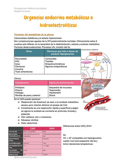 Cetoacidosis diabética (CAD) y estado hiperosmolar ( EHH) Urgencias endocrino metabólicas ...