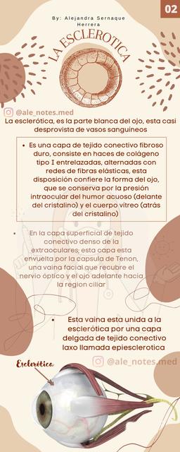 Infografía de la esclerótica | Alejandra Sernaque Herrera | uDocz