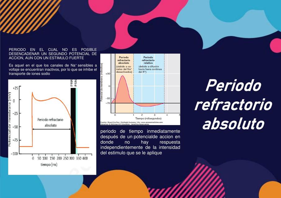 Periodo refractorio absoluto | OSEAS CARVAJAL | uDocz