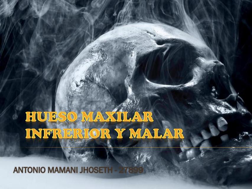 Hueso Maxilar Inferior y Malar | JAYHAH | uDocz