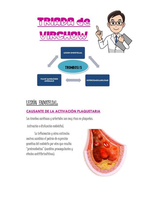 Triada de Virchow | Cecilia Jimenez | uDocz