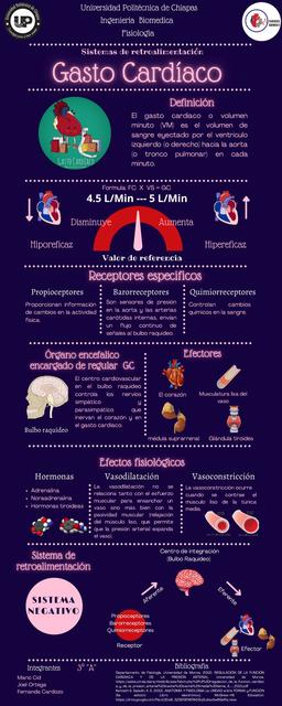 Gasto cardiaco | Ferstudiess | uDocz
