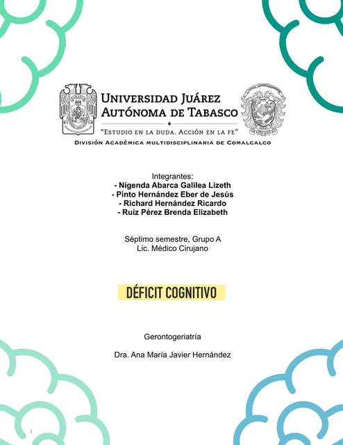 Déficit Cognitivo (Resumen) | Galilea N | uDocz