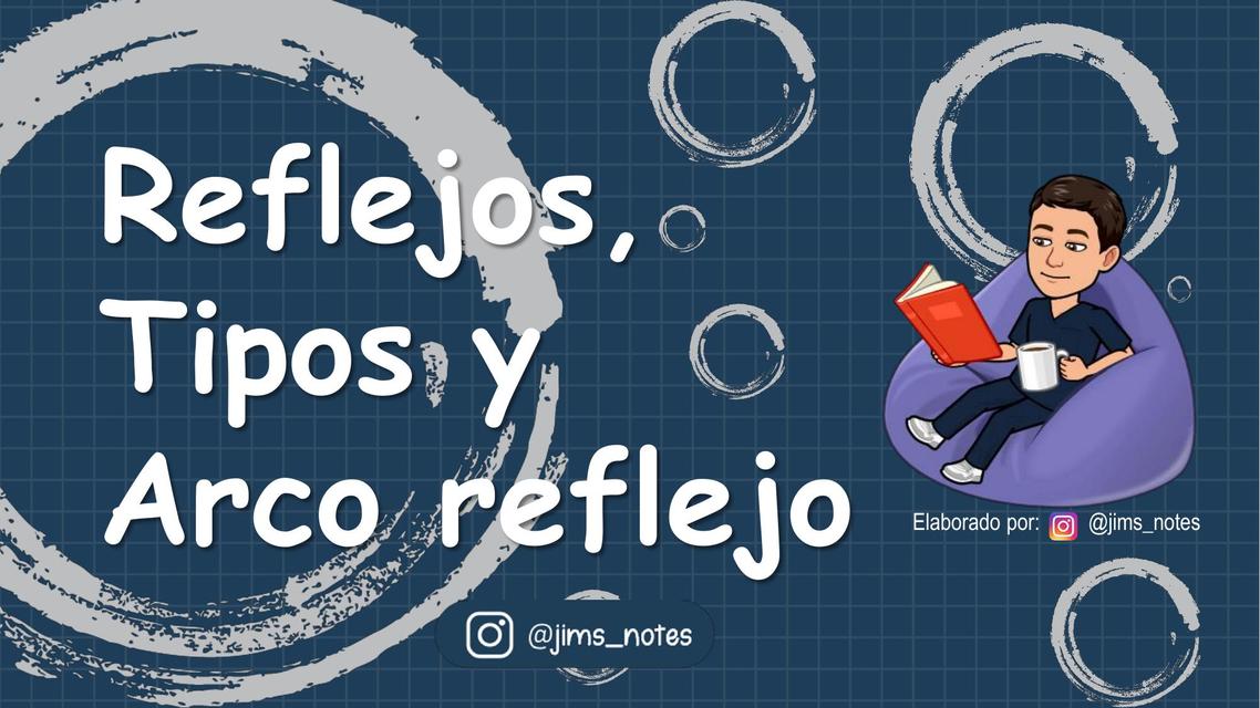 Tipos de reflejo y el arco reflejo