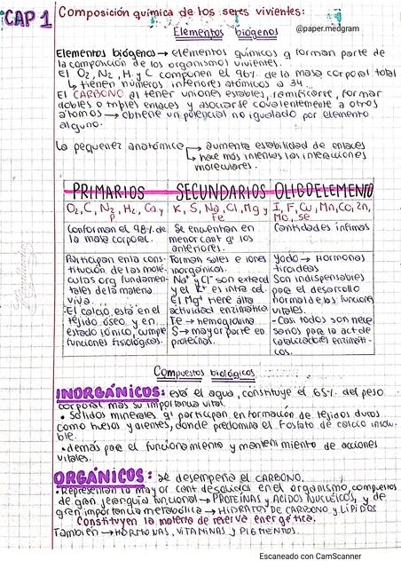 Composición química de los Seres Vivos- | Paper.medgram | uDocz
