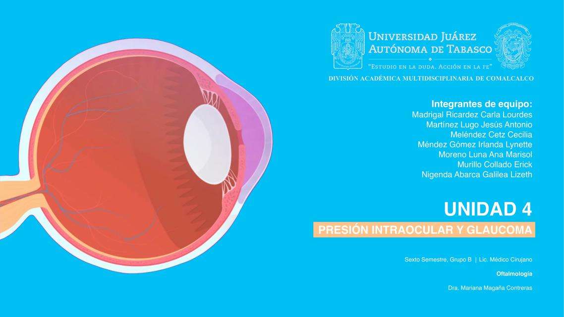 Presión Intraocular y Glaucoma | Galilea N | uDocz