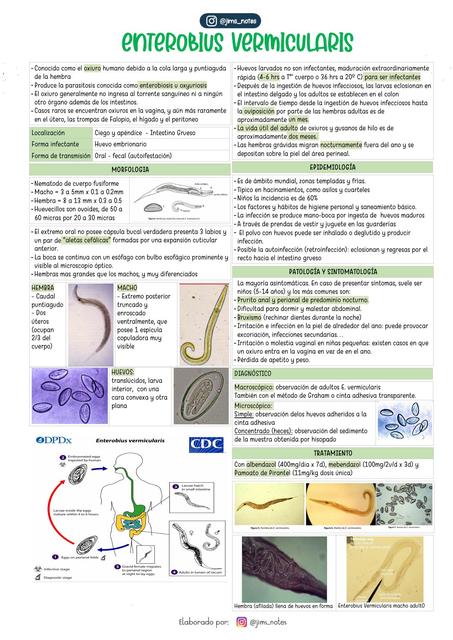 Enterobius vermicularis | Jim Llontop | Jims Notes | uDocz