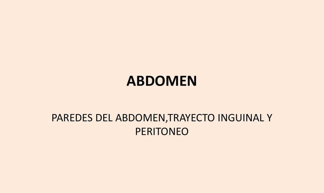 Resúmenes de Partes del abdomen | Descarga apuntes de Partes del abdomen