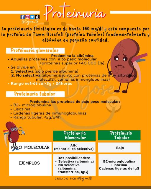 Proteinuria | José Felipe Herazo A | uDocz