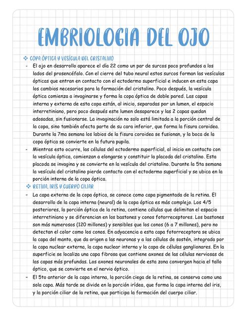 Embriología del ojo | Summaries_med | uDocz