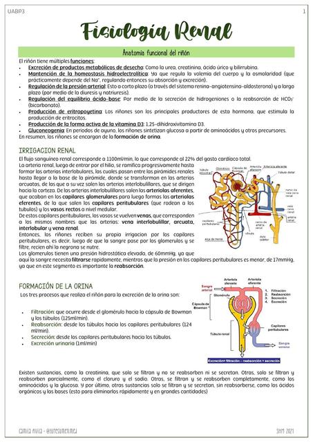 Fisiología de función renal | @TURESUMEN.MED | uDocz
