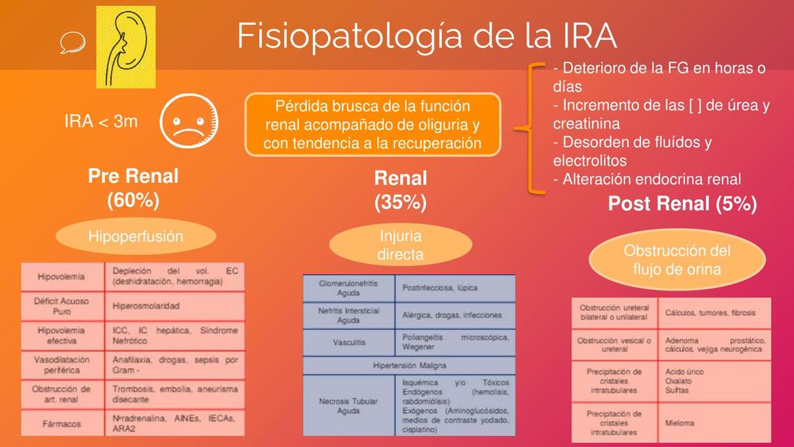 Fisiopatología Renal | XYC | uDocz
