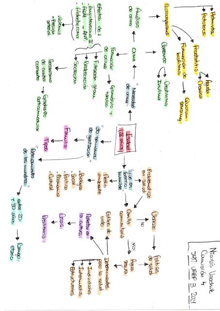 Nicolas Vaschuk Com4 UABP3 SHM | Nico Vaschuk | uDocz