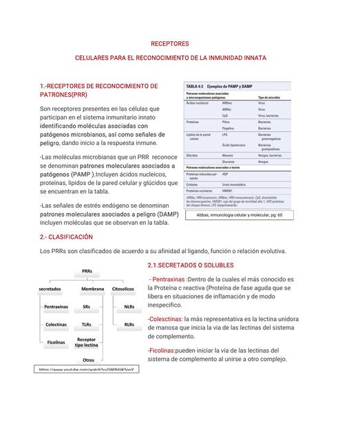 Receptores Celulares para el Reconocimiento de la Inmunidad Innata | Camil Klein | uDocz