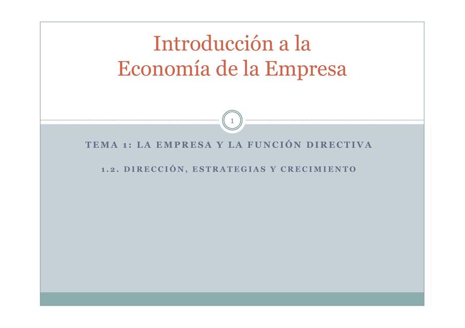 Tema 12 La Empresa y la Función Directiva Dirección Estrategias y ...