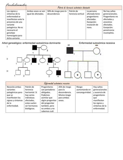 Patrón de Herencia Autosómico Dominante | Dani Mirohr | uDocz