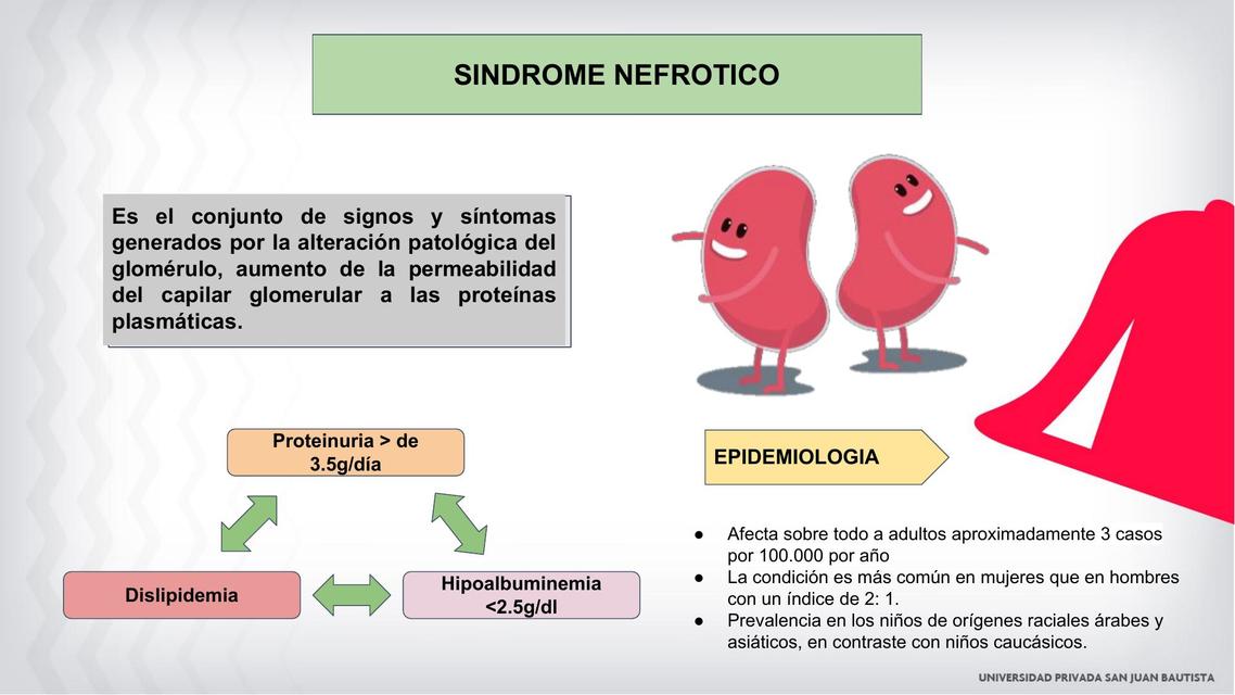 Síndrome Nefrótico | MEDSTUDENTS | uDocz