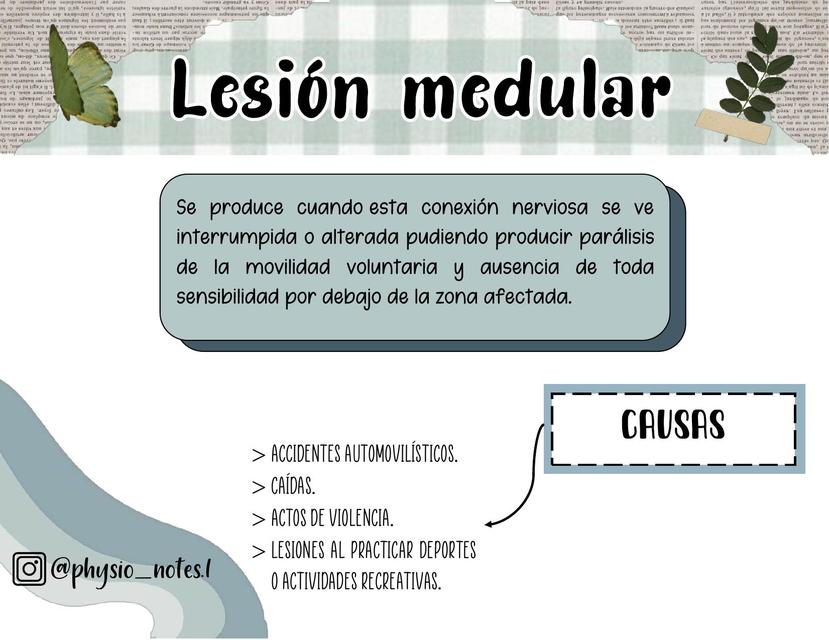 Lesión medular | Physio Notes | uDocz