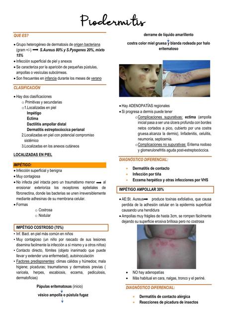 Piodermitis | Isabel Reinheimer | uDocz