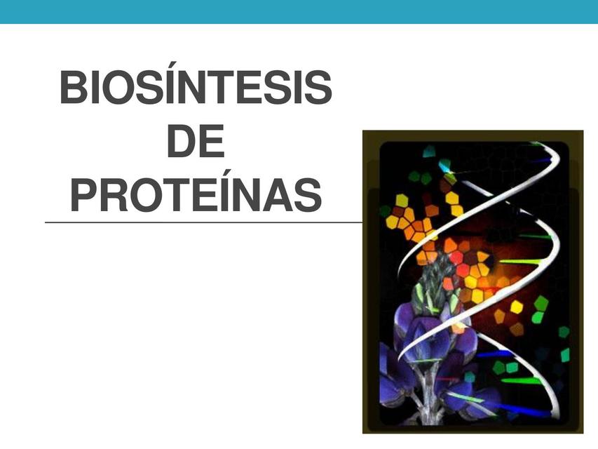 Biosíntesis de Proteínas