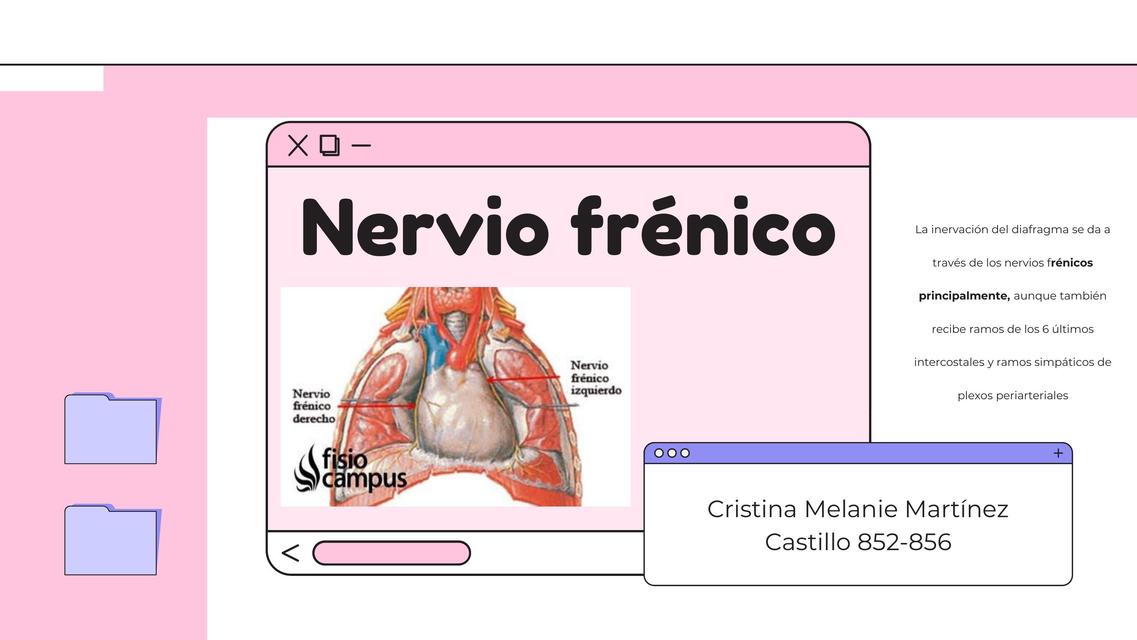Nervio Frénico | Melanie Martinez | uDocz