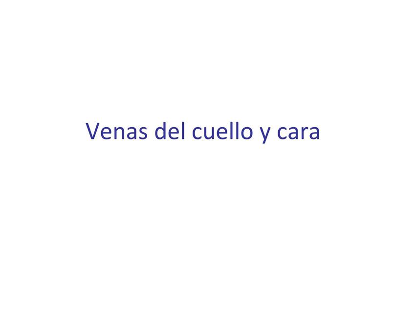 Flashcards de Venas del Cuello y Cara | Por Pamela Deyanira | uDocz