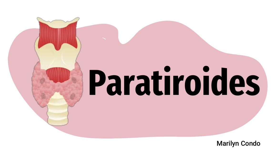 Paratiroides | Diana | uDocz