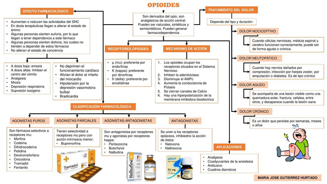 Resúmenes de Opioides | Descarga apuntes de Opioides