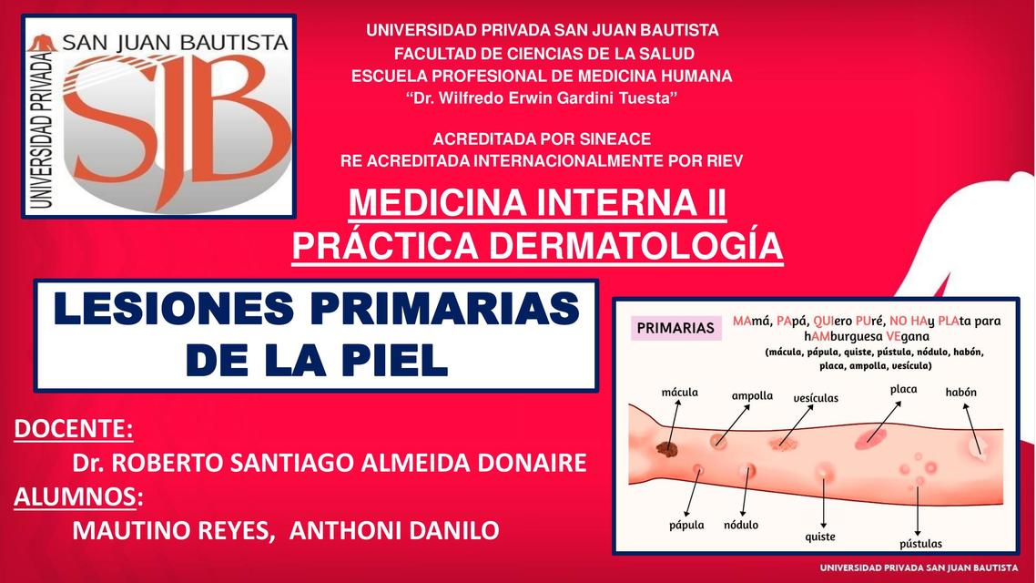 Lesiones Primarias de la Piel