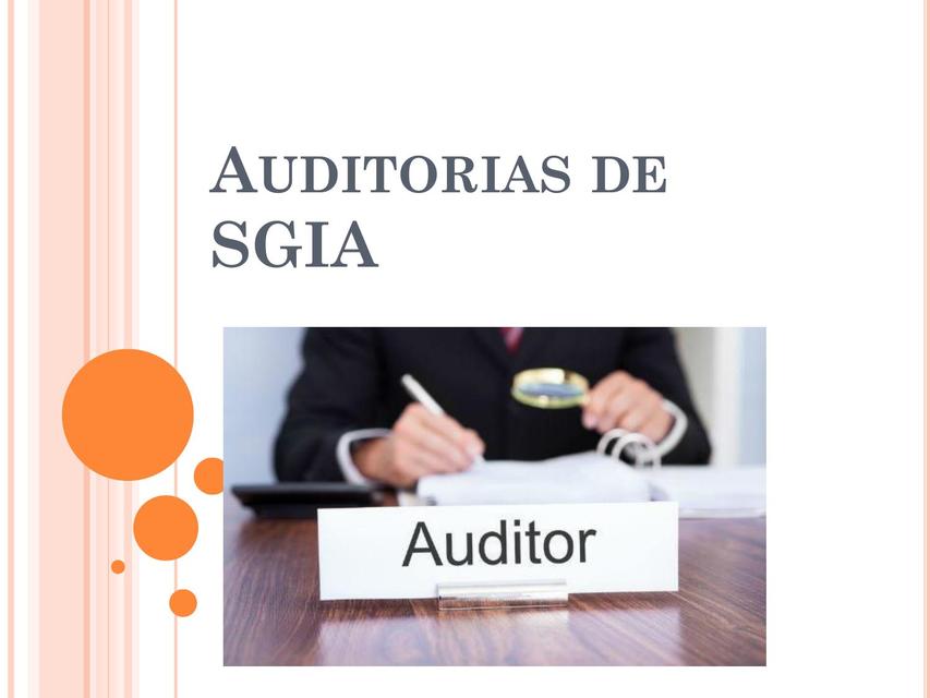 Auditoria de SGIA | Sol Noguera | uDocz