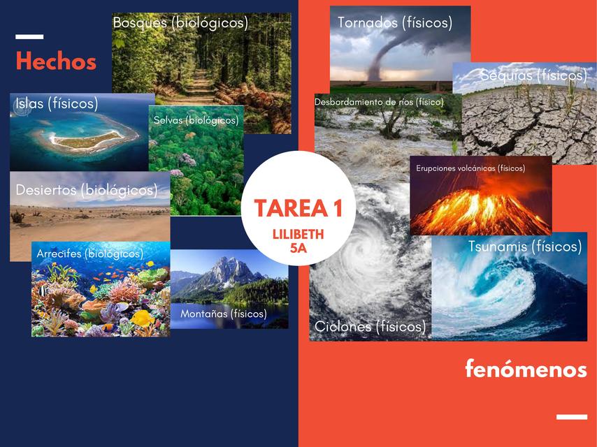 Fenómenos y hechos | Alin Jiménez | uDocz