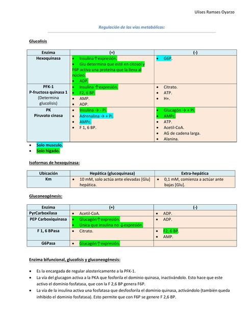 Regulación del Metabolismo de Glúcidos y Lípidos | Ulises Ramses Oyarzo ...