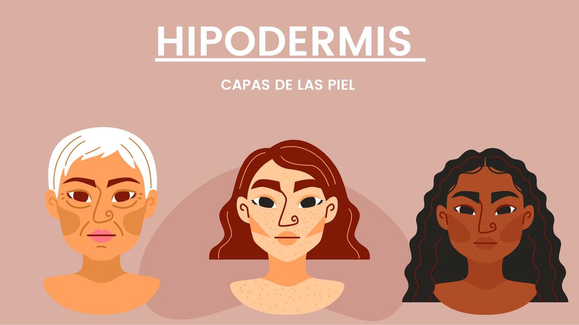 Hipodermis | STEFANY.P | uDocz