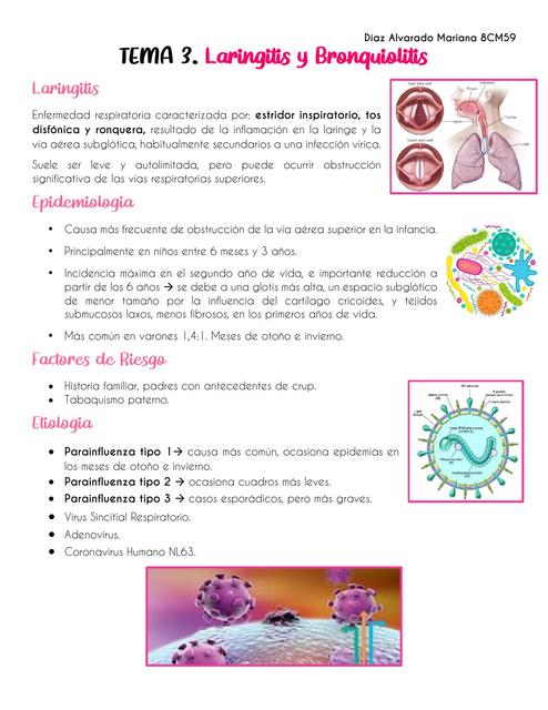 Laringitis Y Bronquiolitis Mariana Díaz Udocz