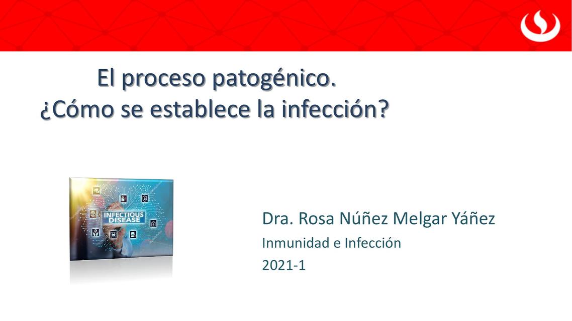 Resúmenes de Proceso patogénico | Descarga apuntes de Proceso patogénico
