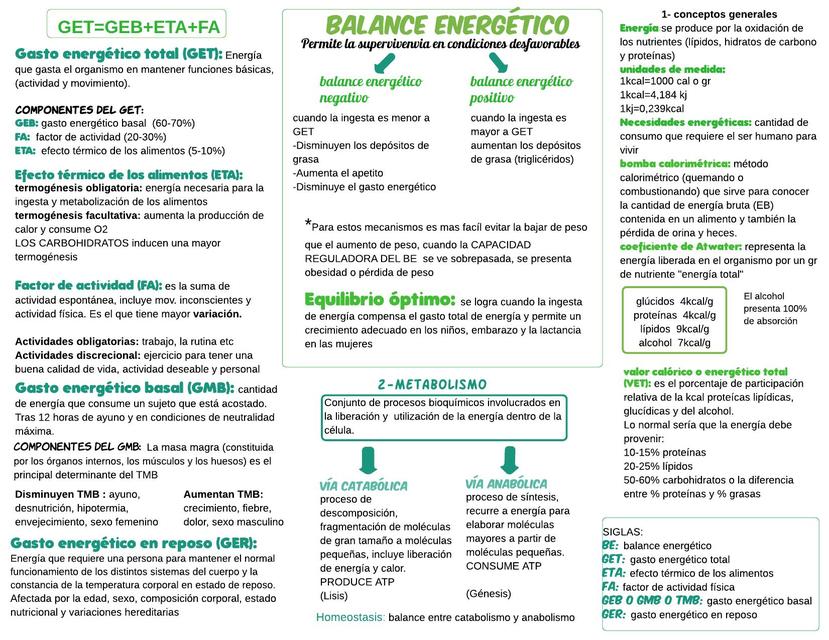 Balance Energético | Francisca González | uDocz