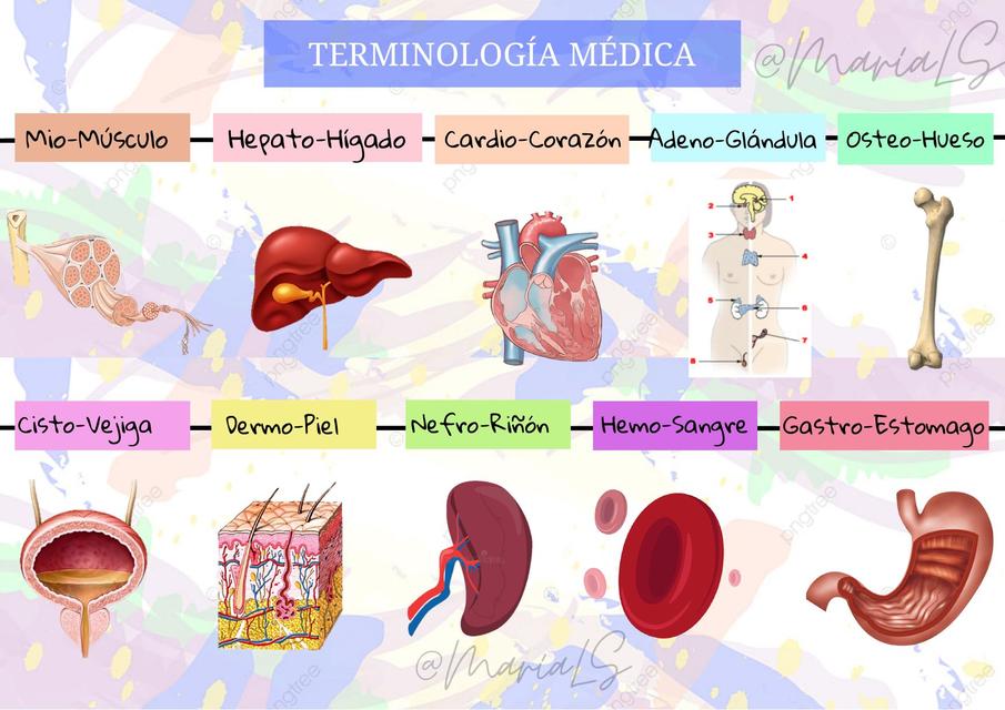 Terminología Médica | Medica.lo | uDocz