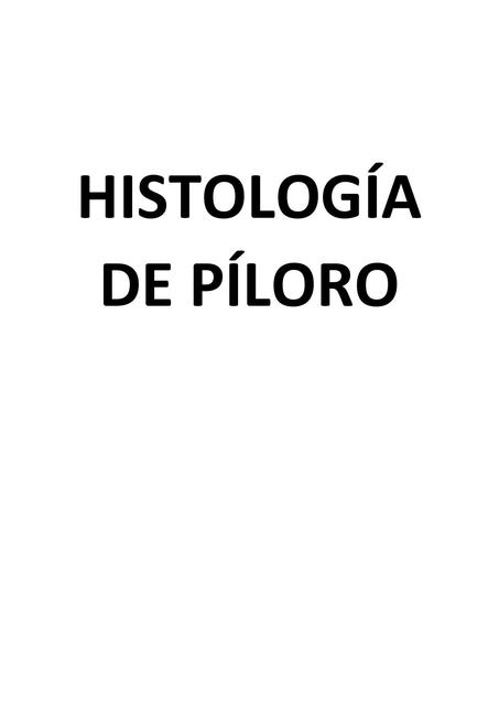 Histología de Píloro | Dr. Memorize | uDocz