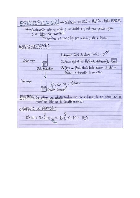 Esterificación Reacciones En Química Orgánica Santiago Bolarte Udocz