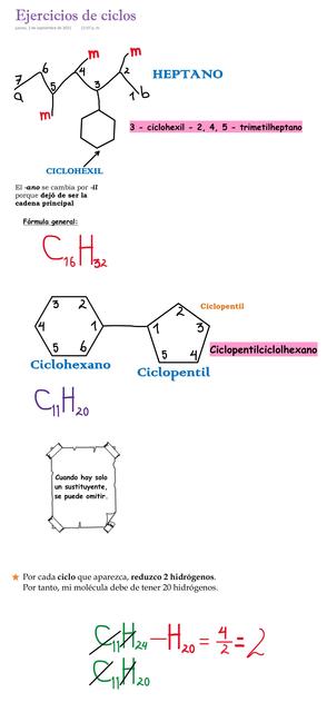 Ejercicios de Ciclos | Samantha Shernandez | uDocz