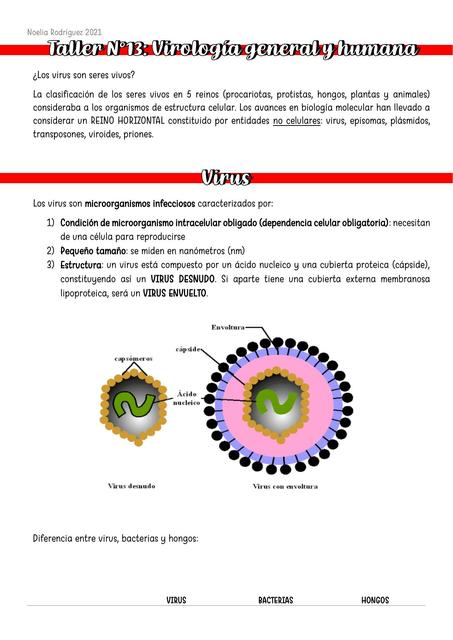 Virología General y Humana | Noelia | uDocz