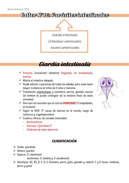 Parásitos Intestinales | Noelia | uDocz