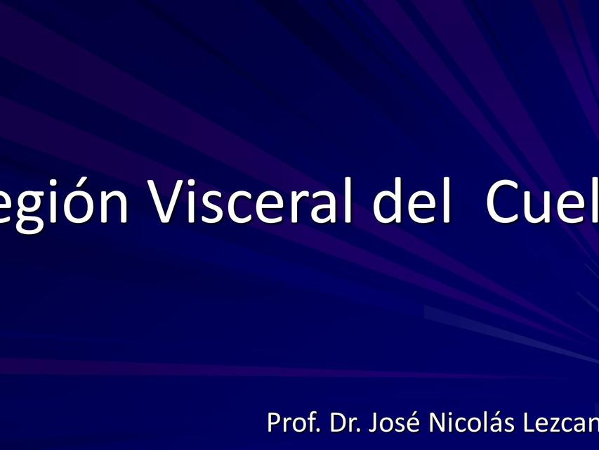 Región Visceral del Cuello | Sofia Skountzos | uDocz