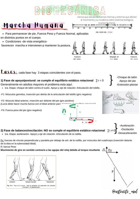 Resúmenes de Marcha | Descarga apuntes de Marcha
